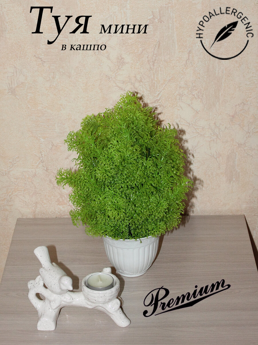 Композиция искусственное растения туя в кашпо от бренда Holodilova