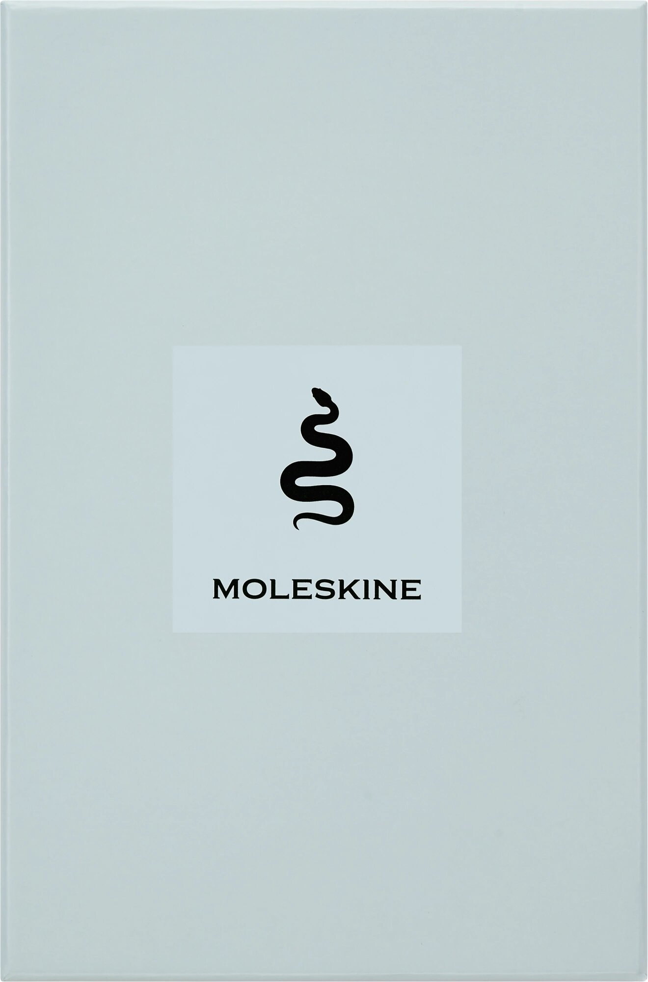 LECNYSNKVEGMBOX / Блокнот Moleskine Limited Edition, 176стр, в линейку, подарочная коробка, мятн