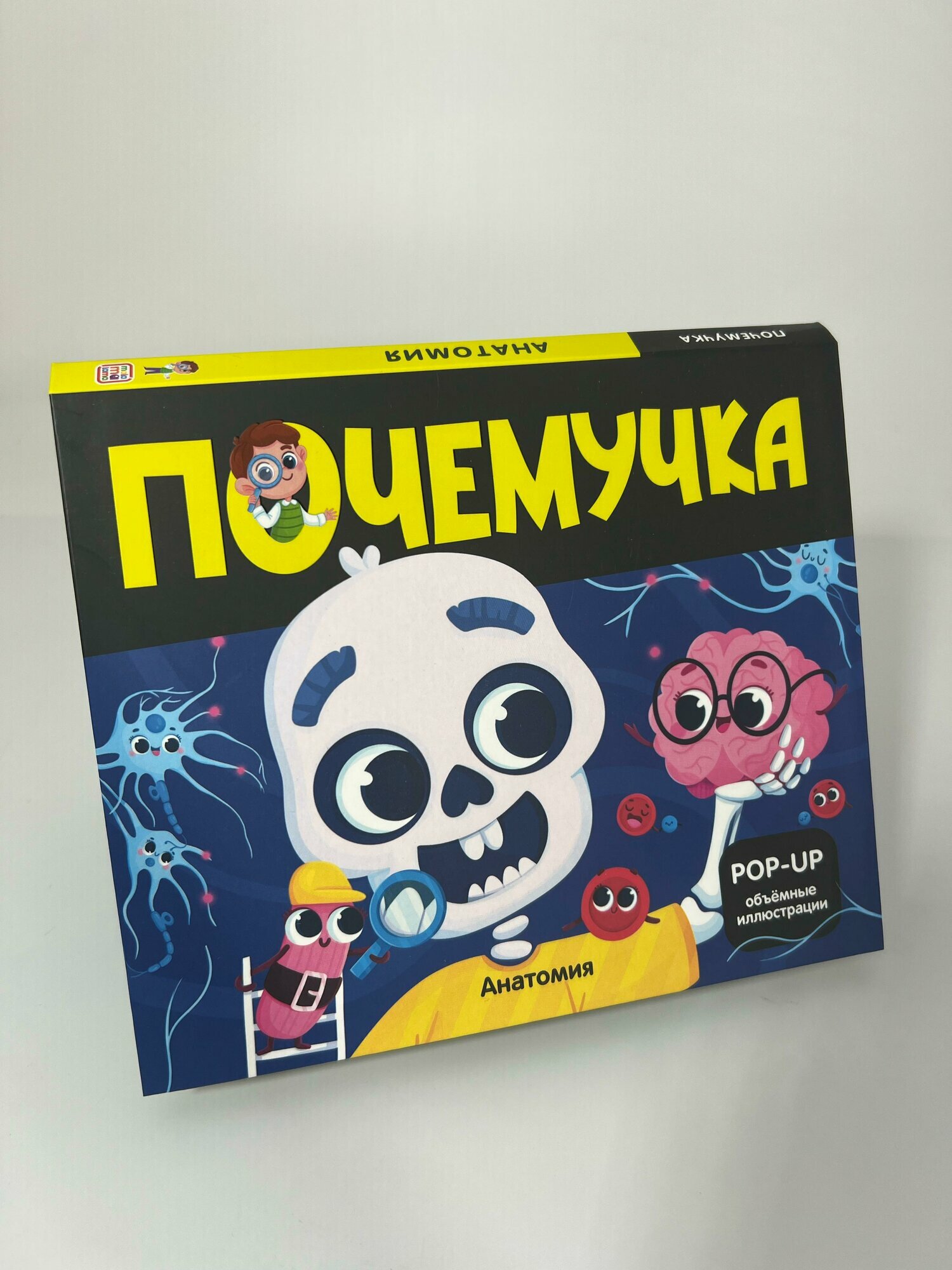 Почемучка Анатомия Книжка панорамка Malamalama 3+