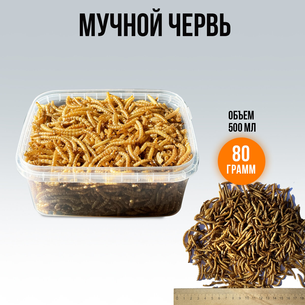 Мучной червь для рептилий, черепах, грызунов и птиц 80 грамм
