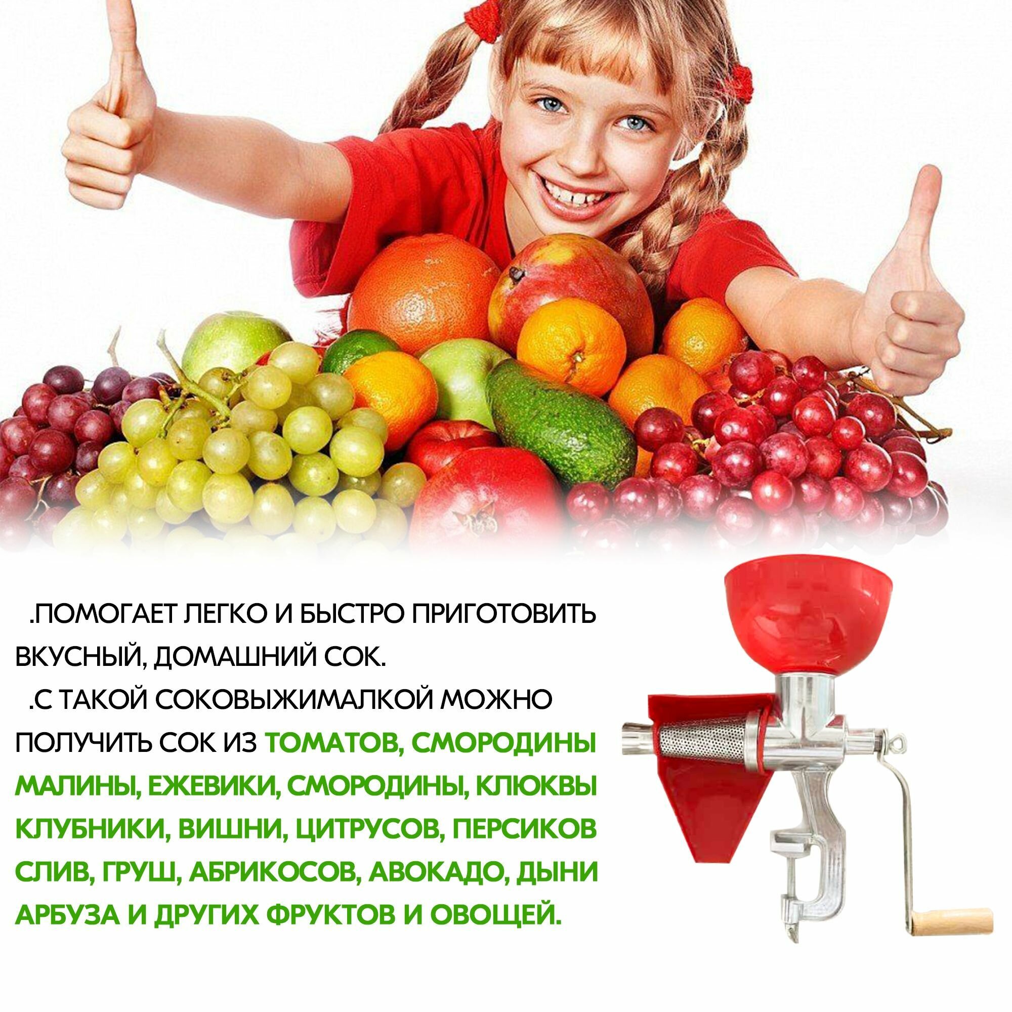 Соковыжималка-пресс — фото 1