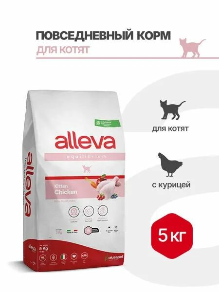 Сухой корм ALLEVA EQUILIBRIUM CHICKEN KITTEN для котят, беременных и кормящих кошек, с курицей, 5 кг