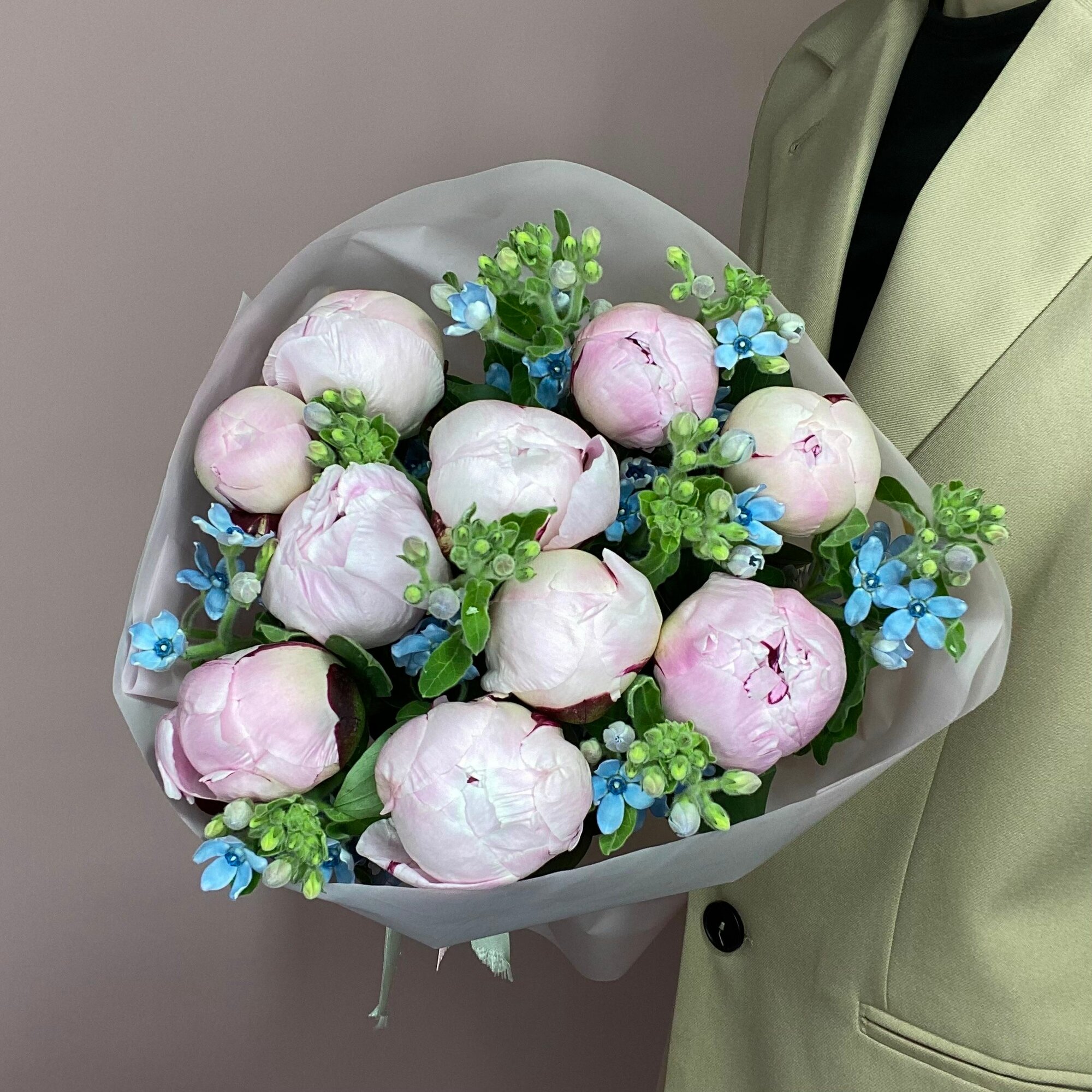 Нежные пионы (пионы 10 шт, оксипеталум 9 шт.), высота букета 40 см