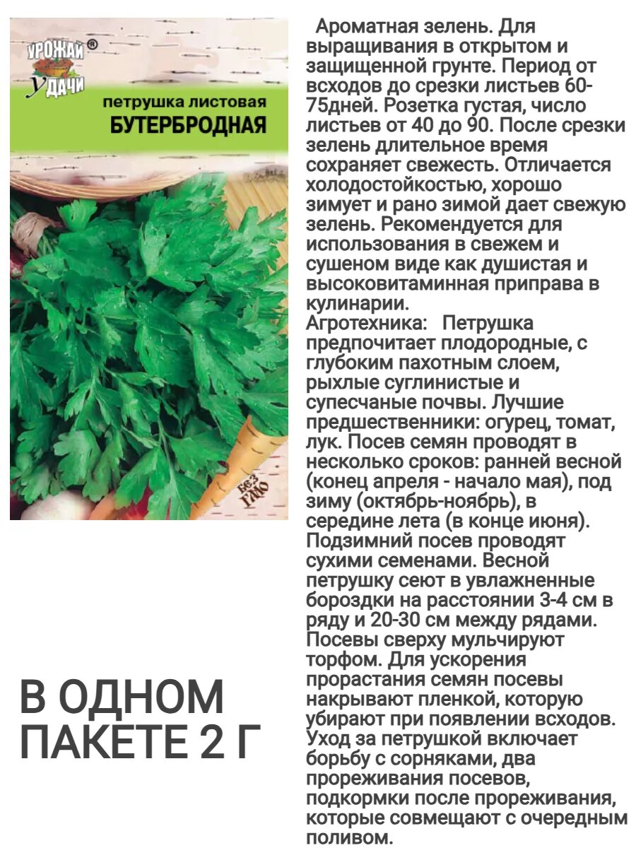 Семена петрушки на зелень — фото 1