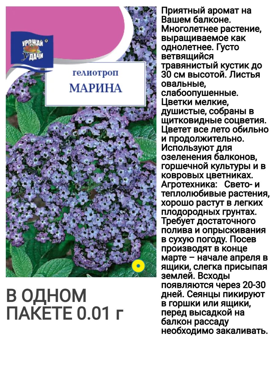 Семена Урожай Удачи "Гелиотроп Марина", многолетние, низкорослые, фиолетовые, 3 пакета — фото 1
