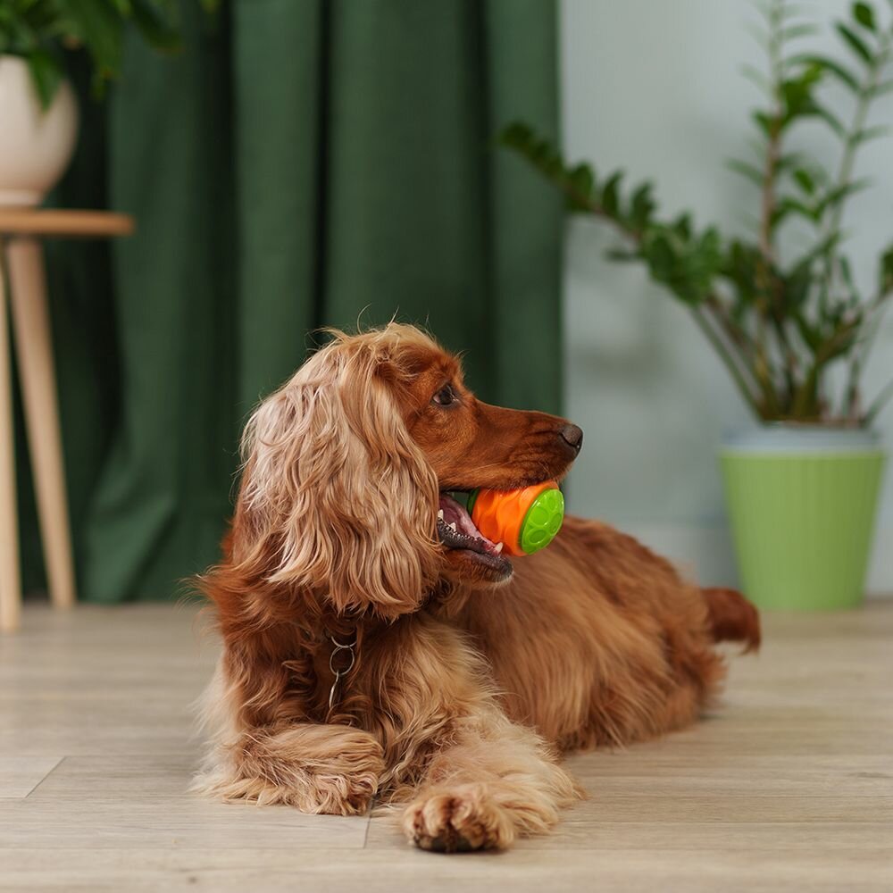 Игрушка для собак Набор мячиков, диаметр 6,2 см, 3 шт.