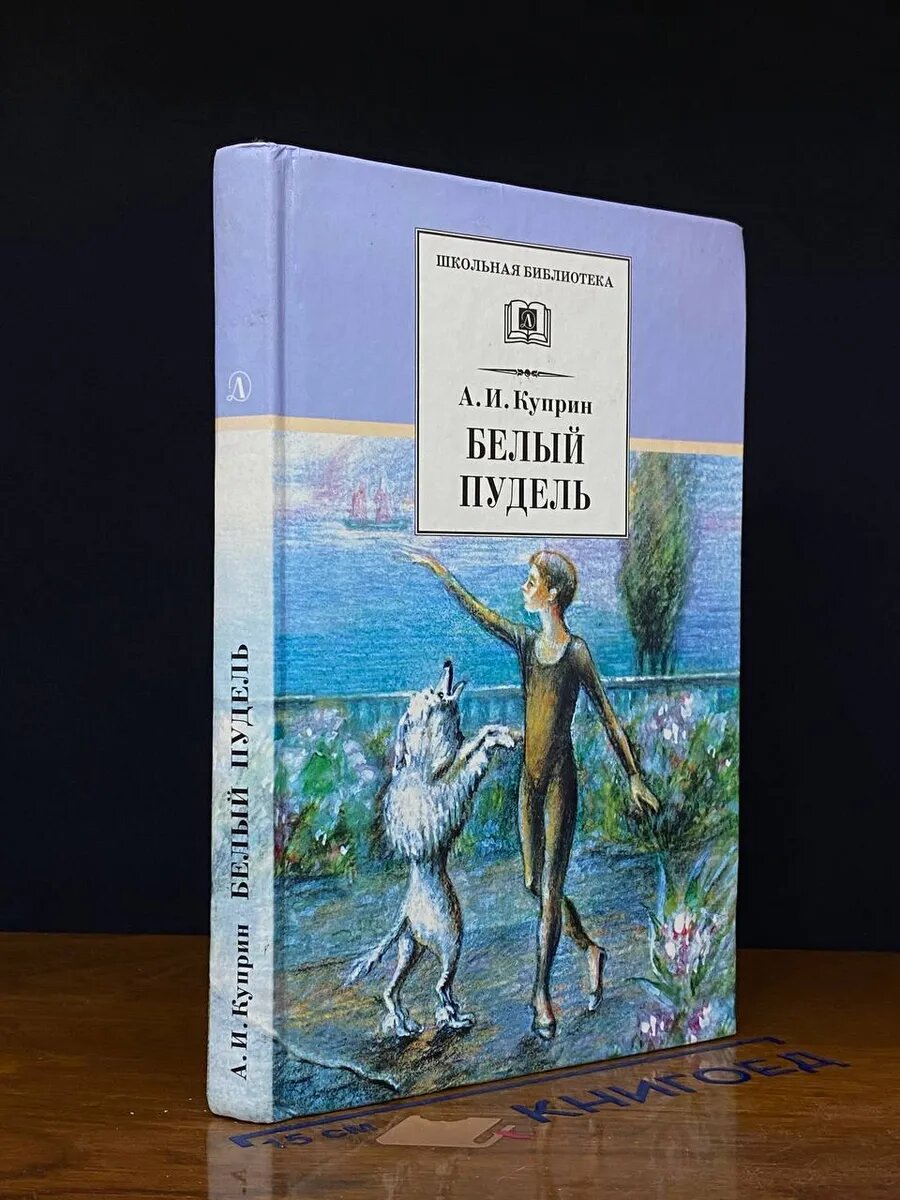 Книга. Белый пудель 2009 (2043310406146)