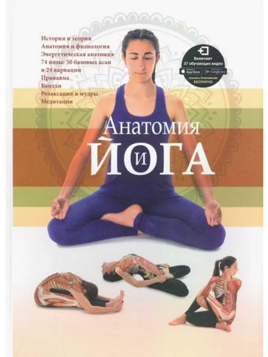 Анатомия и йога Anatomia & Yoga