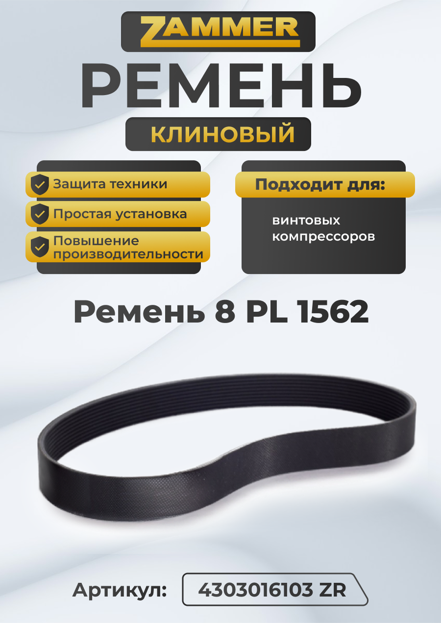 Ремень 8 PL 1562 4303016103 ZR
