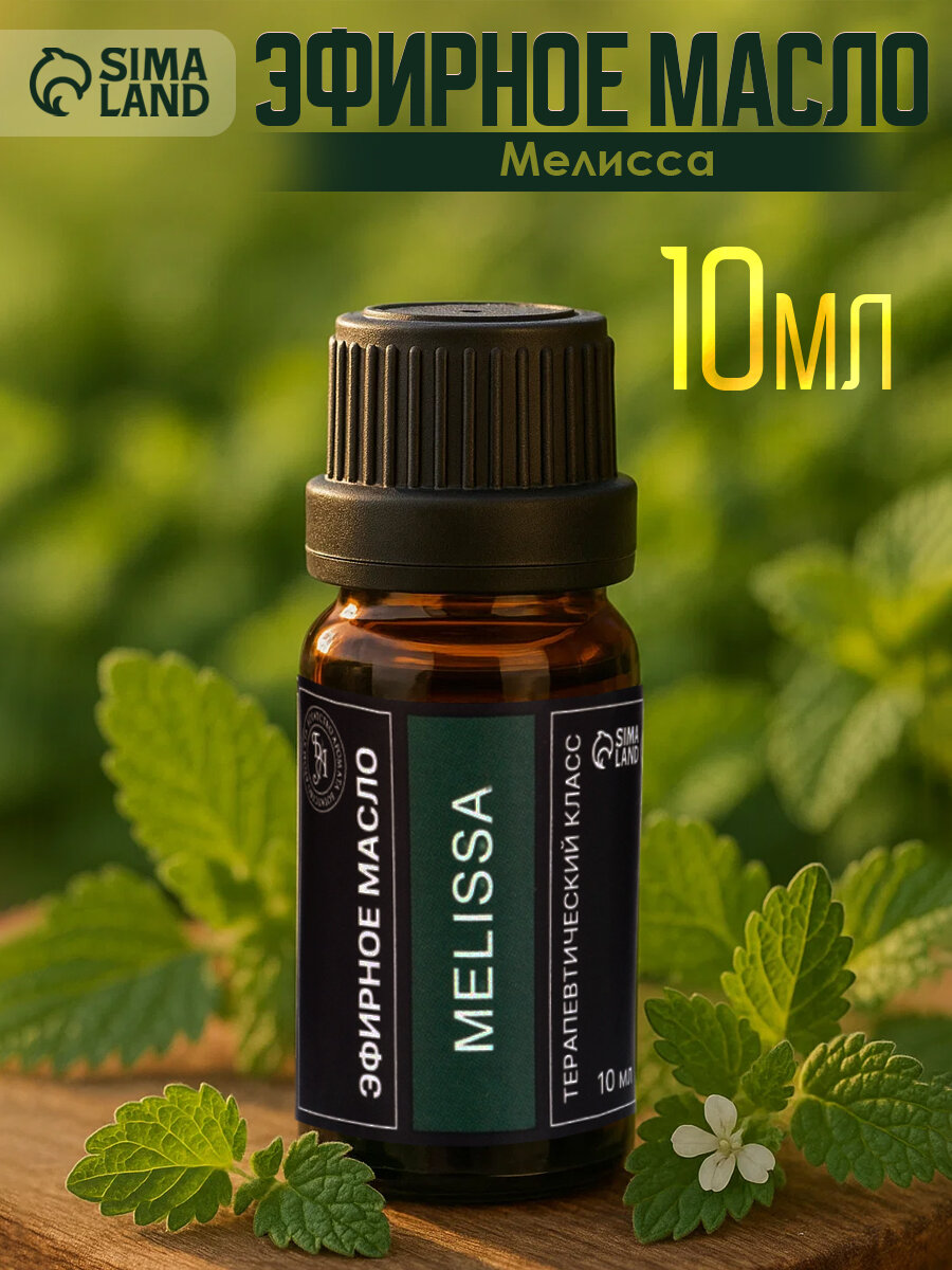 Эфирное масло «Мелисса», 10 миллилитров, в тубусе, свежий травяной аромат