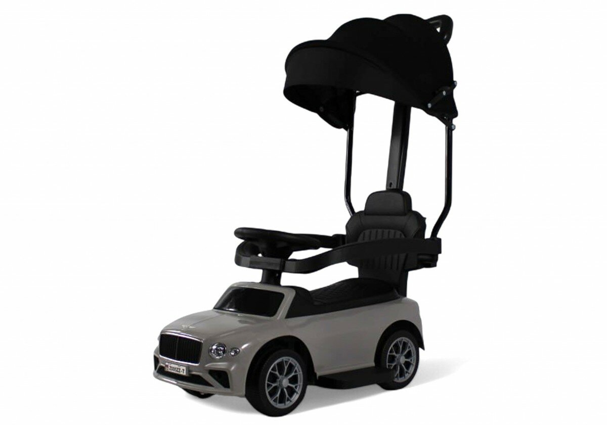 Rivertoys Детский толокар Z005ZZ-T серый