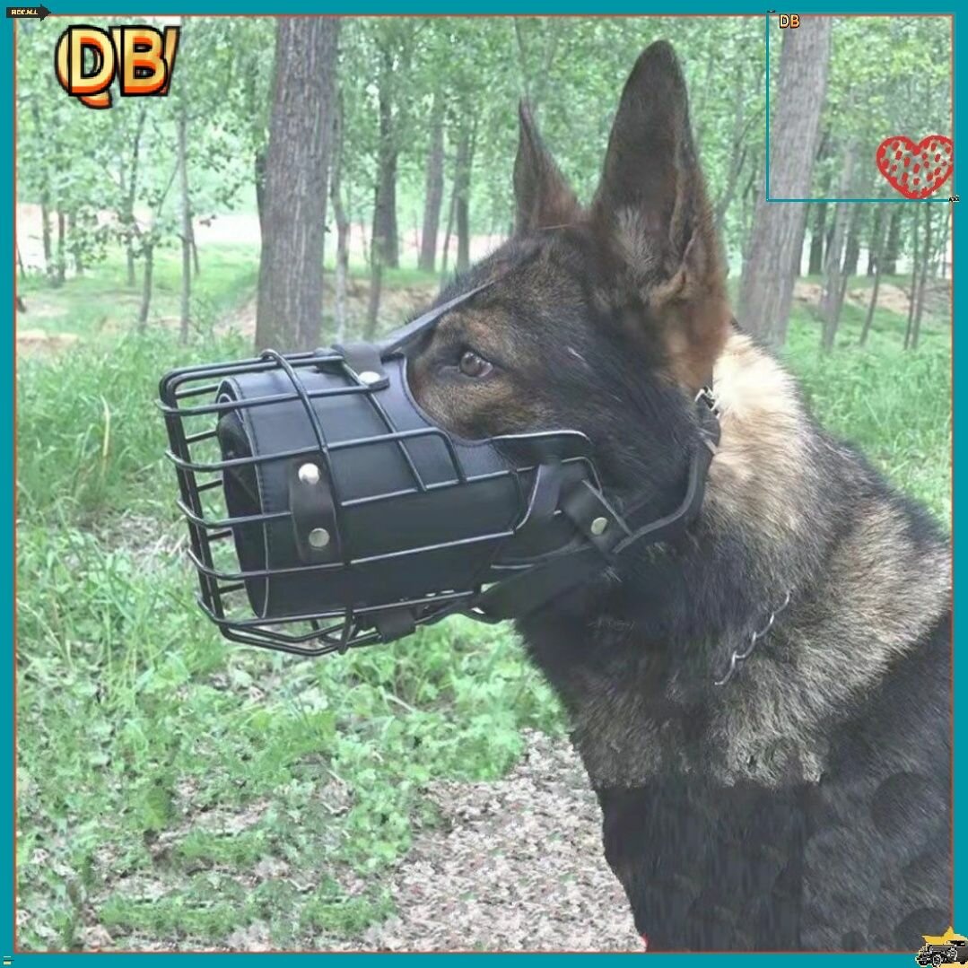 Намордник