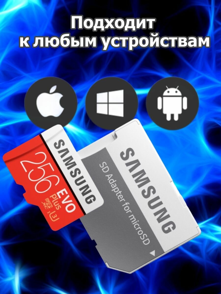 Карта памяти Micro SD EVO Plus 256 ГБ class 10 — фото 1