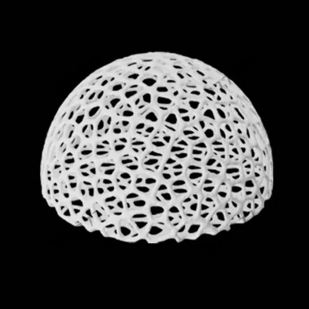 Эксклюзивный декор для резервуара