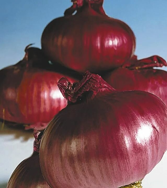 Коллекционные семена лука репчатый Брунсвик