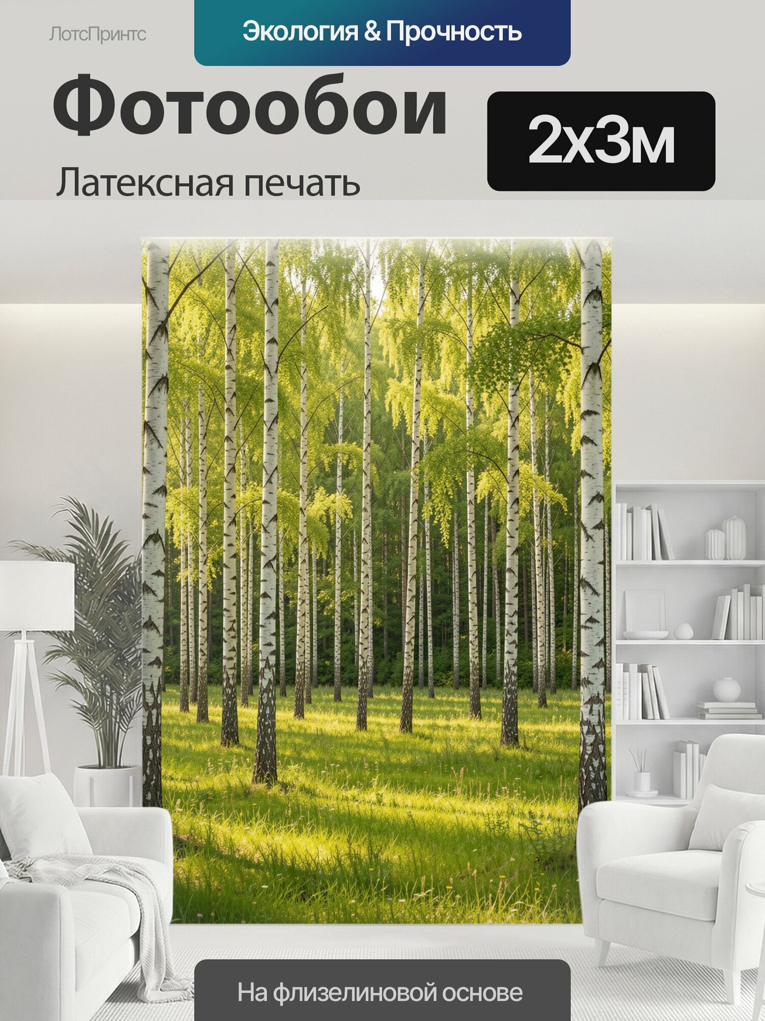 Фотообои моющиеся ударопрочные "Березовая роща в солнечный день. Светлая лесная сцена с высокими белоствольными деревьями, молодой зеленой листвой и." 200x300 см. латексная печать