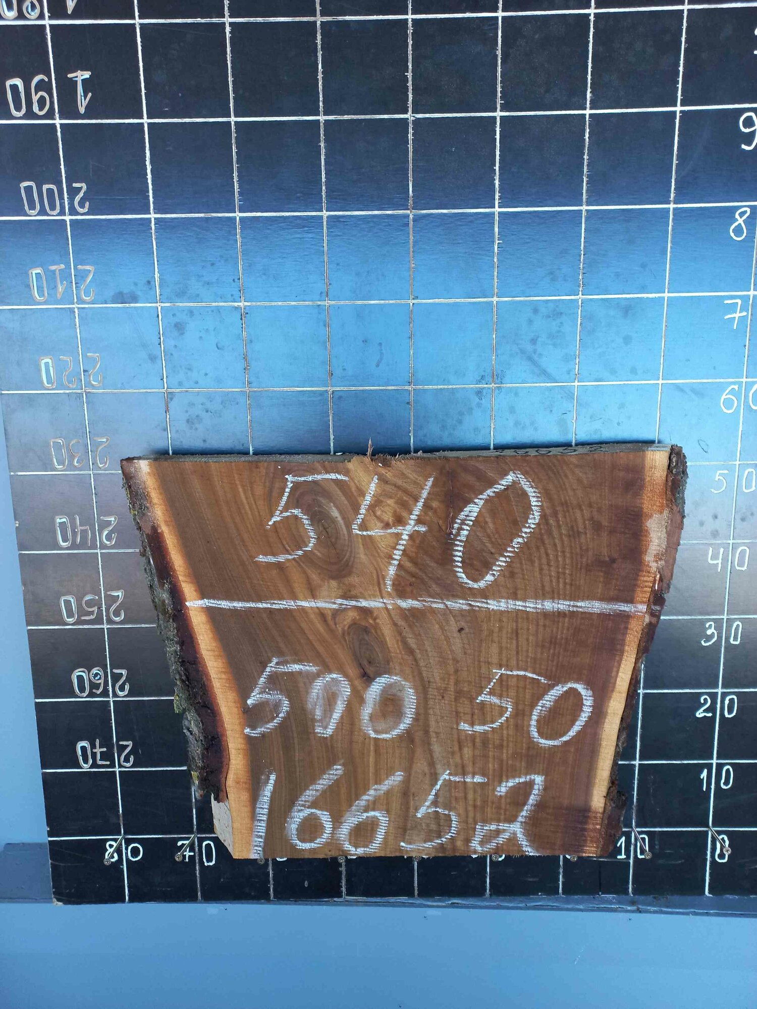 Слэб дерева Доклес Карагач 16652, необрезной, для столешниц и подоконников