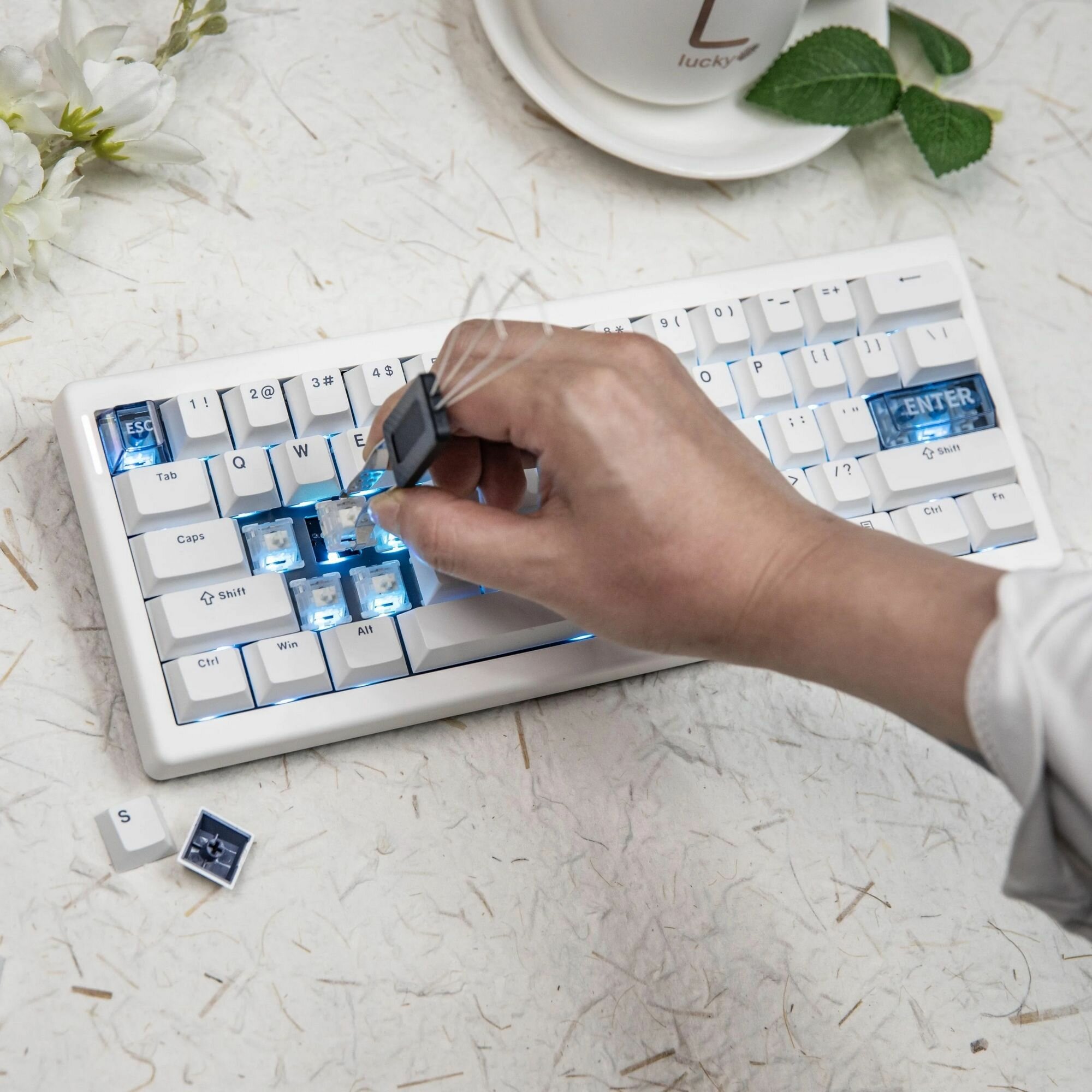 Cidoo Игровая клавиатура беспроводная QK61, (CIDOO Pearl White), Английская раскладка, белый