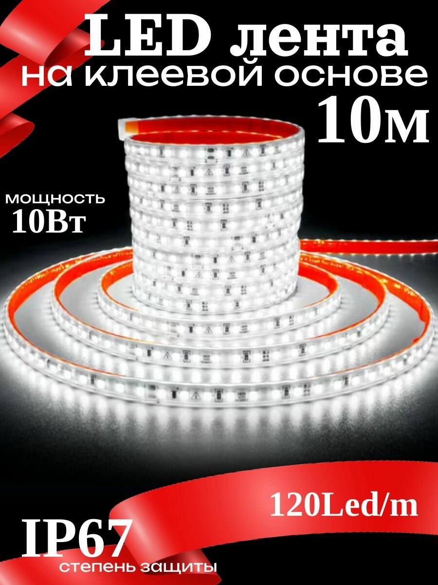 Светодиодная лента морозостойкая на клеевой основе 10м, мощность 10 Вт/м, белый цвет свечения 6К работает от сети 220 В самоклеящаяся для подсветки дома улицы и кухни, защита от пыли и влаги IP68