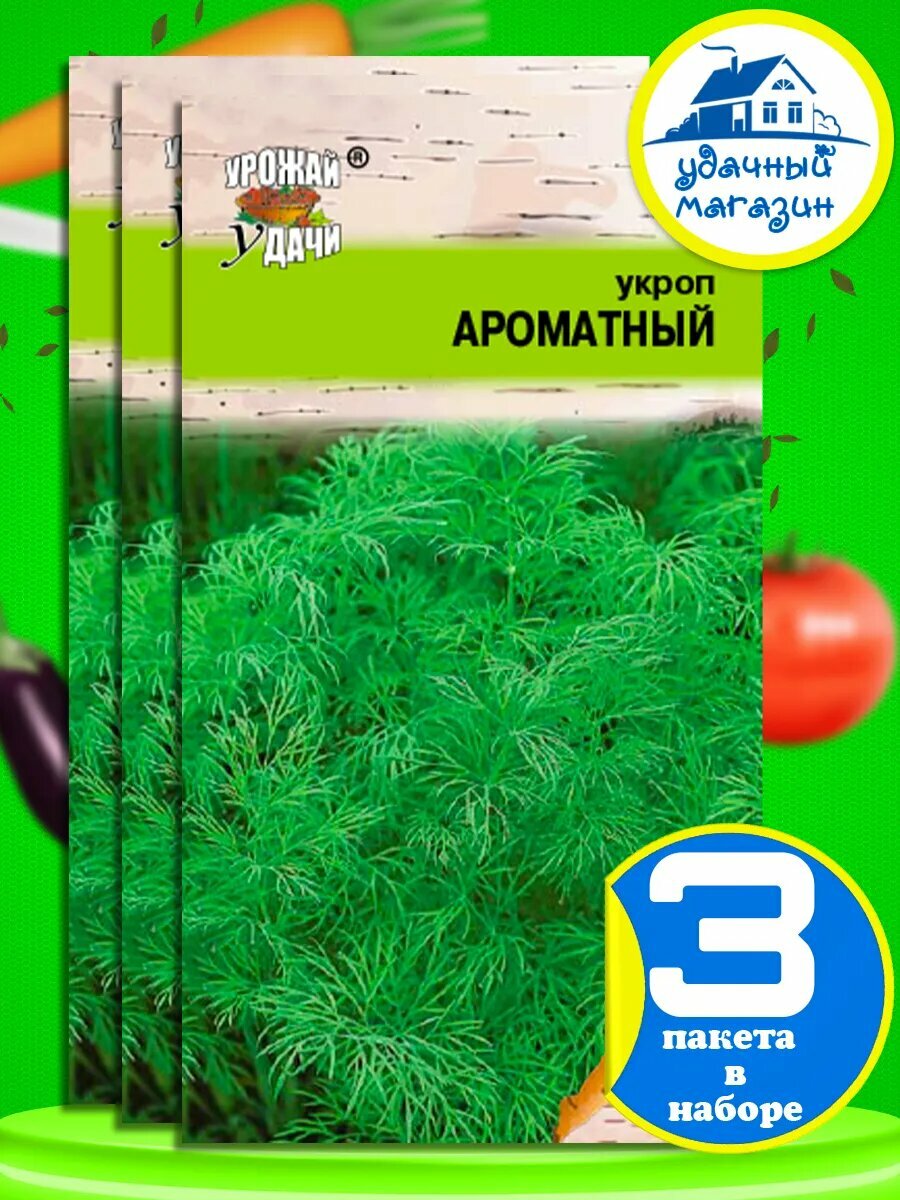 Семена укропа на зелень на подоконнике