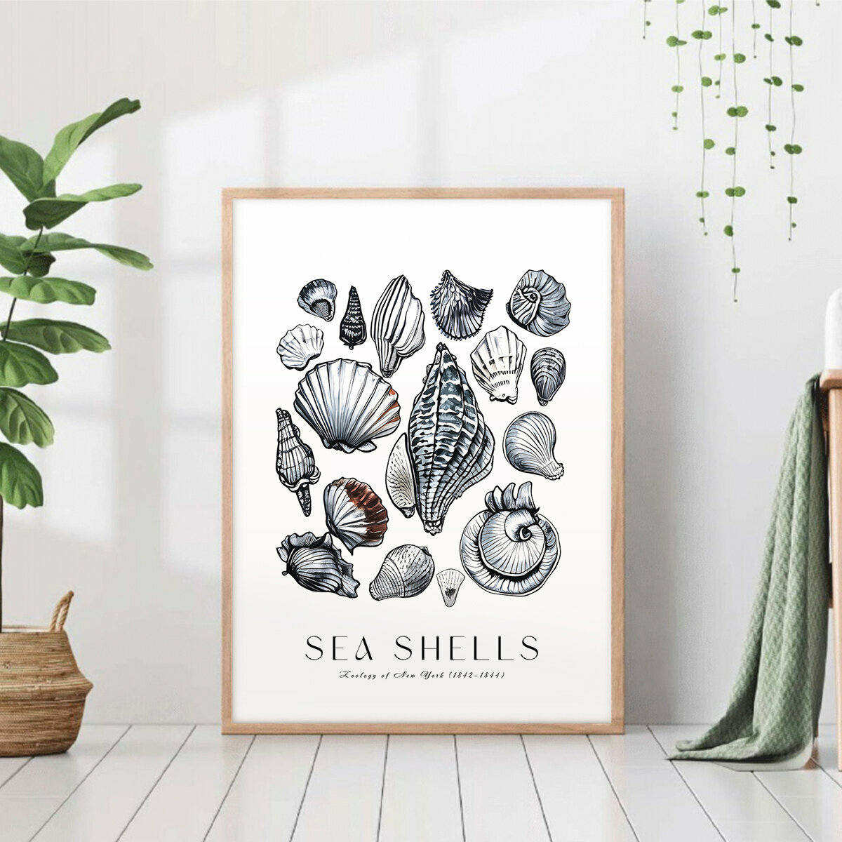 Постер "Морские ракушки" без рамы 40x50 см на стену для интерьера