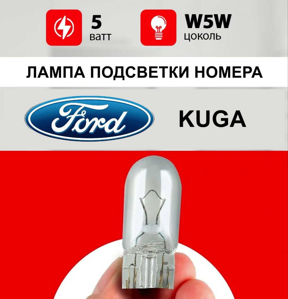 Лампа подсветки номера Форд Куга / лампочка номерного знака для Ford Kuga 2 / W5W 5 wt