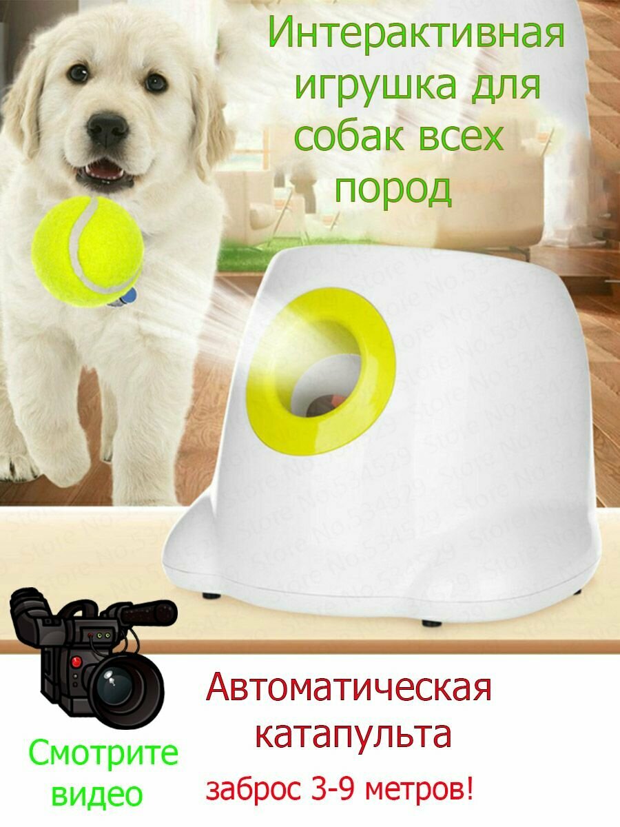 Игрушка-катапульта для животных, для самостоятельной игры, мяч в комплекте