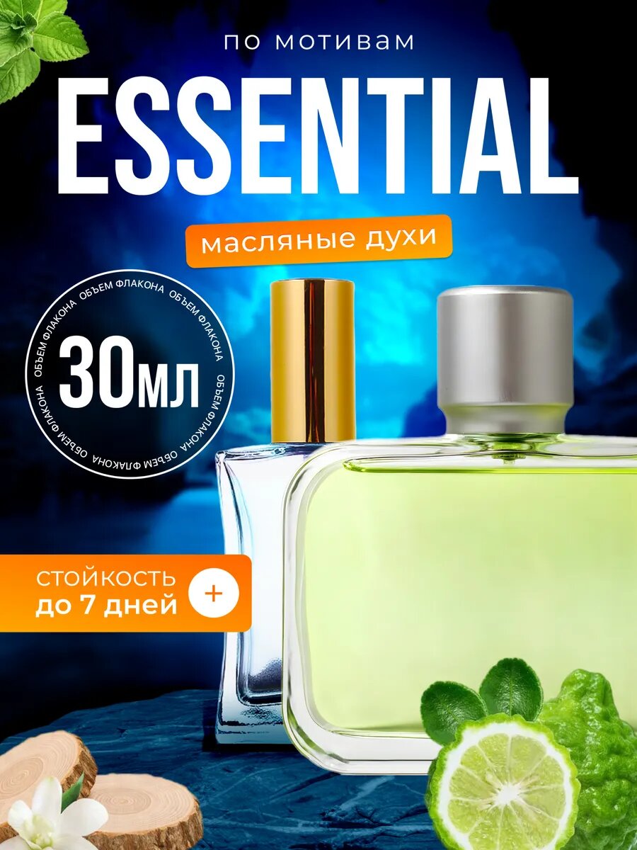 Духи масляные по мотивам Essential Лакост Эссеншиал парфюм мужские стойкие