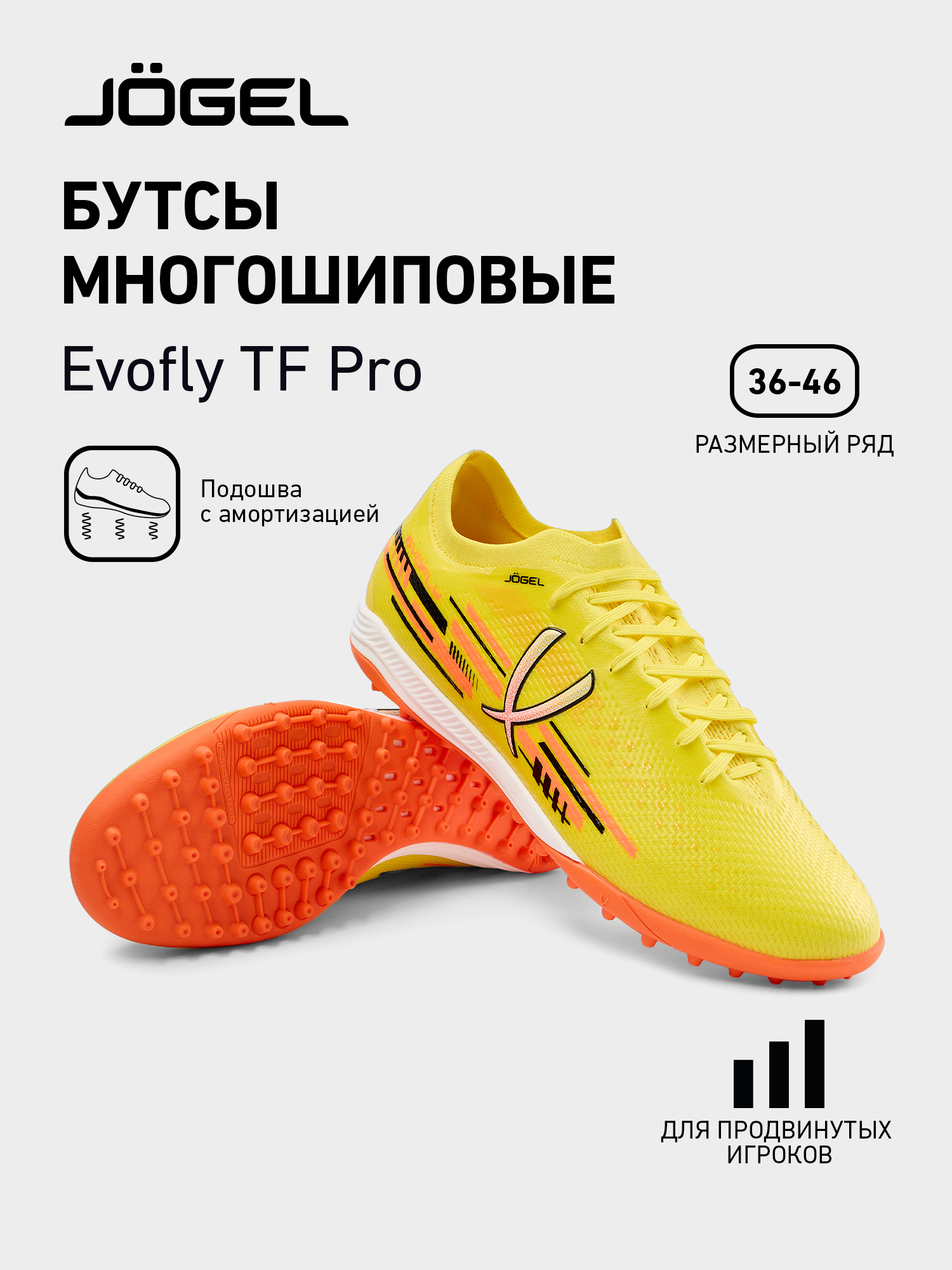 Сороконожки