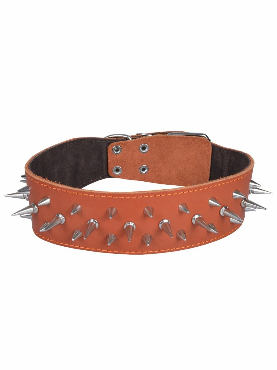 Ошейник для средних и крупных собак кожаный с шипами на шею 50 - 60 см