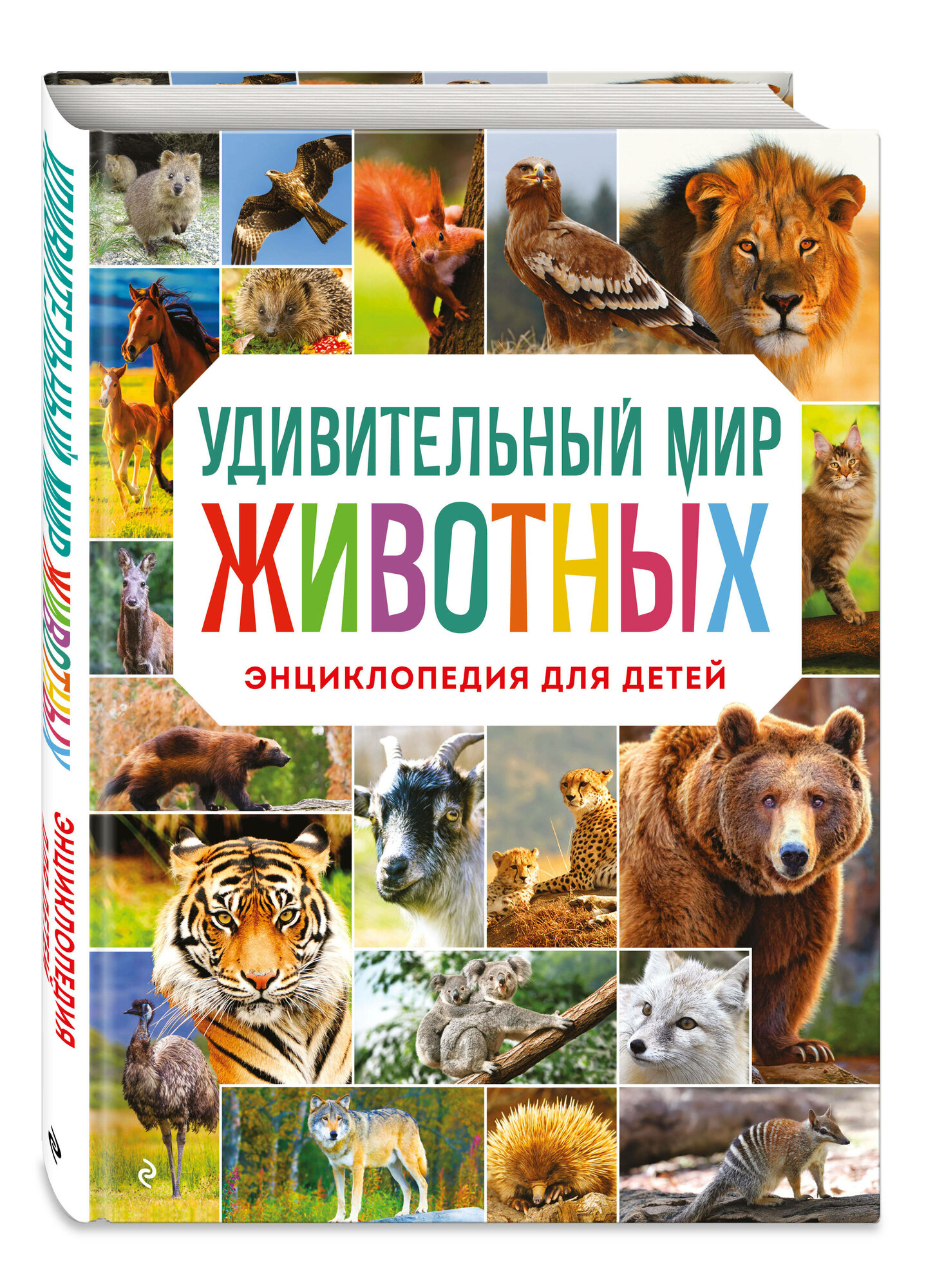 Баранова Н. Н. Удивительный мир животных. Энциклопедия для детей
