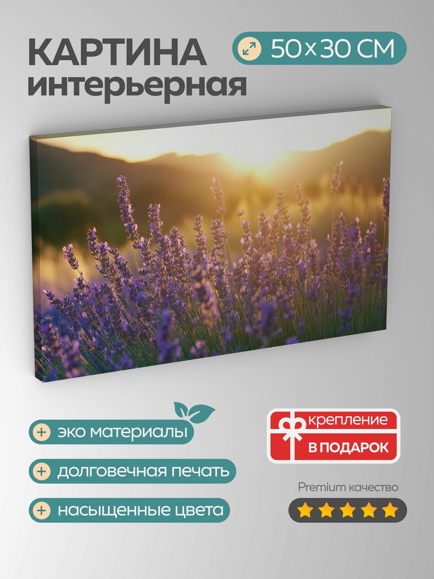 Картина на холсте интерьерная 50х30 см, лучезарный закат, лавандовое поле, пленительные оттенки, теплый отблеск