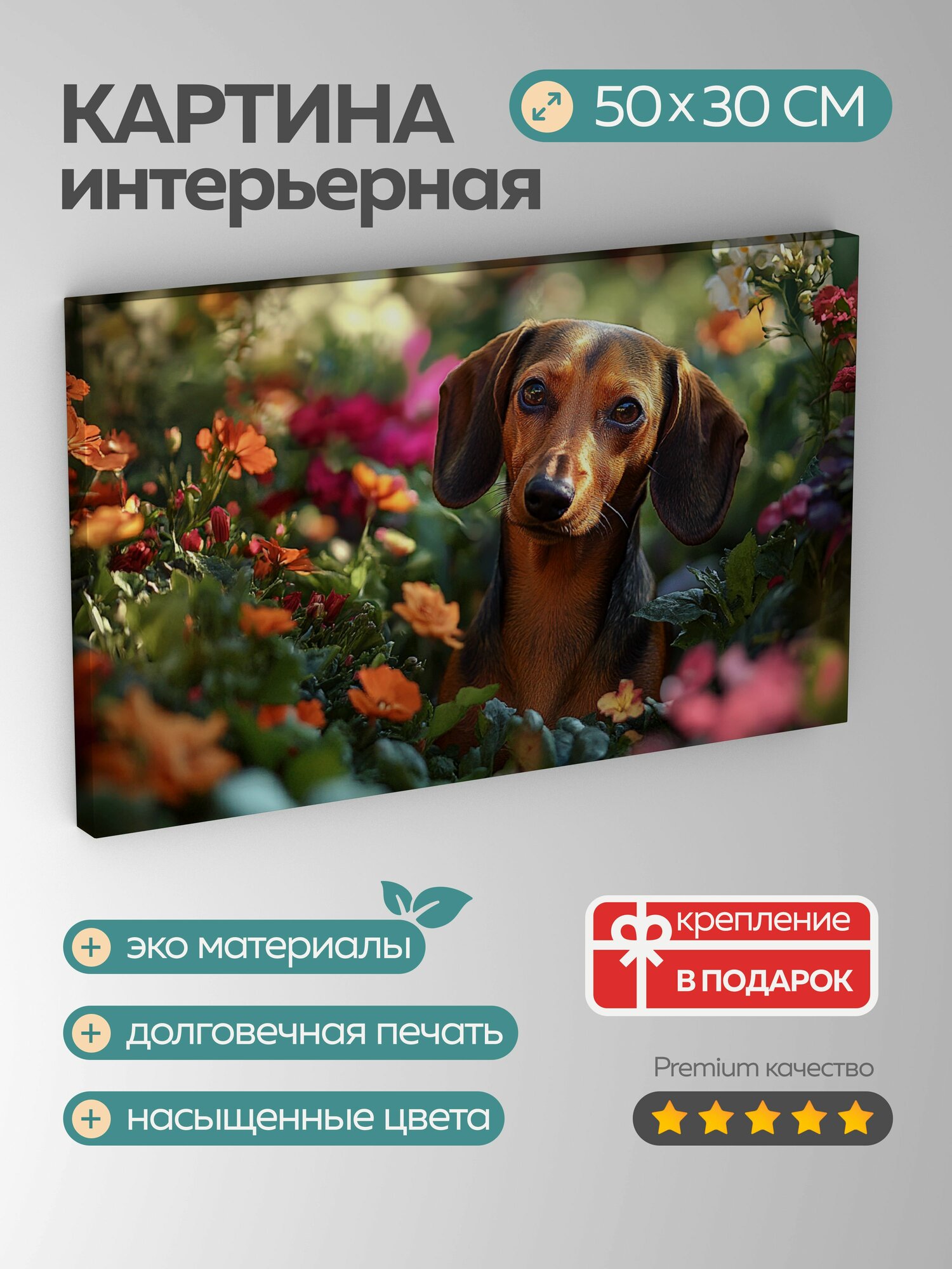 Картина на холсте интерьерная 50х30 см, собачка, такса, высокое разрешение, яркий сад, цветущий, естественный фон