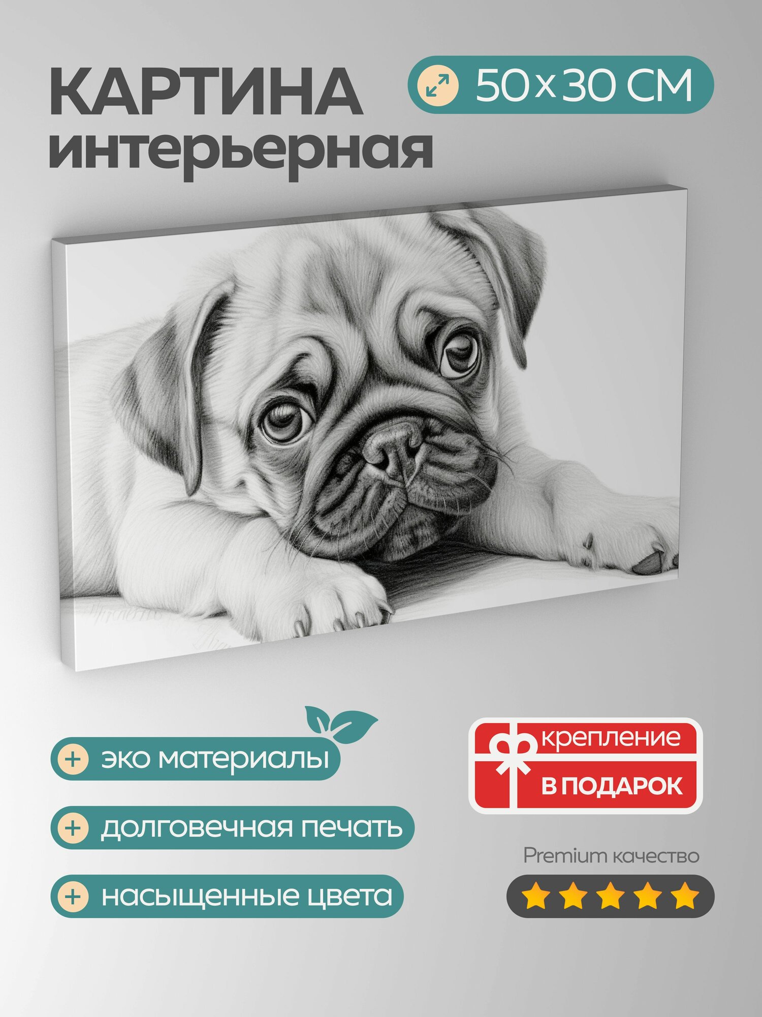 Картина на холсте интерьерная 50х30 см, мопс, карандашный набросок, глаза, лоб, уши, индивидуальность, тонкие линии