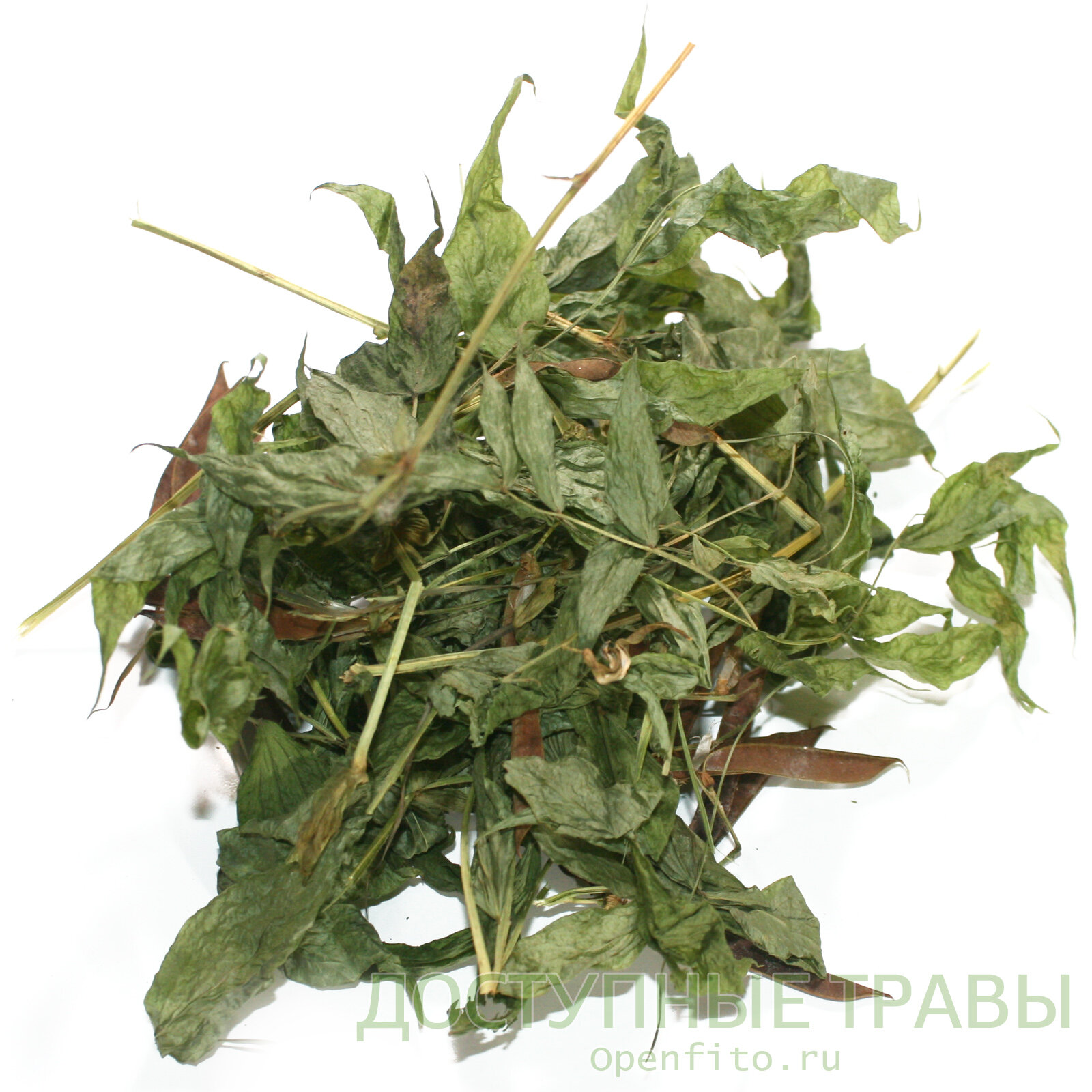 Сочевичиник трава в цельном виде, бумажная упаковка 100г - Ивановские травы