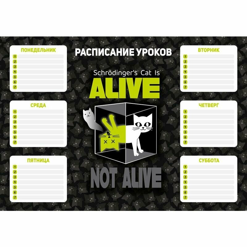 Расписание уроков научный КОТ 210x297мм, мелован. картон 235г 63550/К