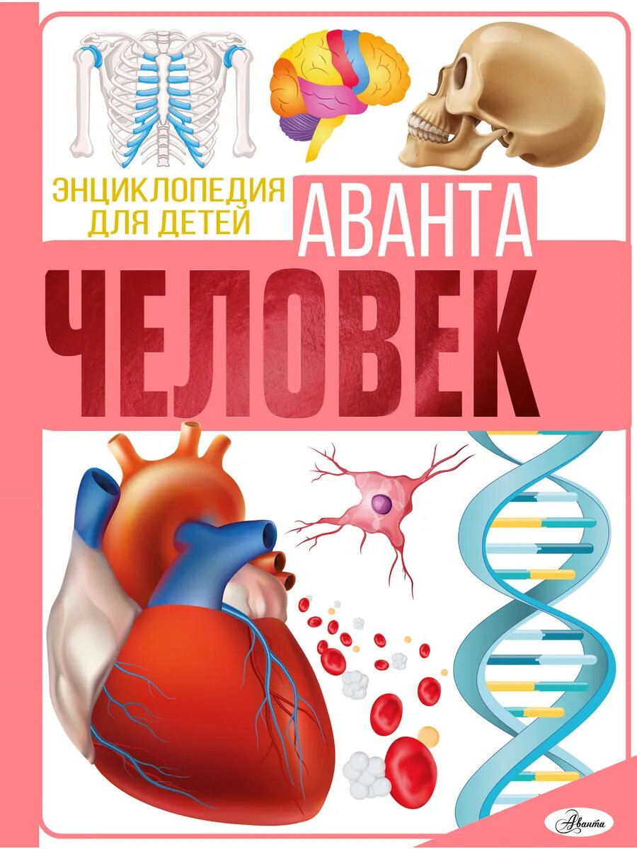 Человек Энциклопедия для детей