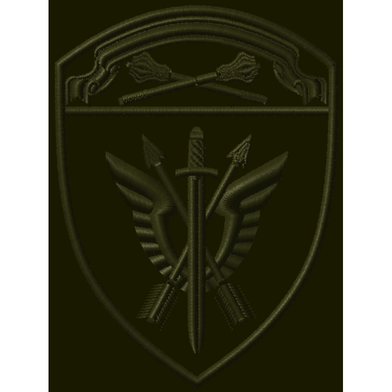 Шеврон 2018 Росгвардии, собр, Центральный округ, полевой. С липучкой. Размер 70x95 мм по вышивке.