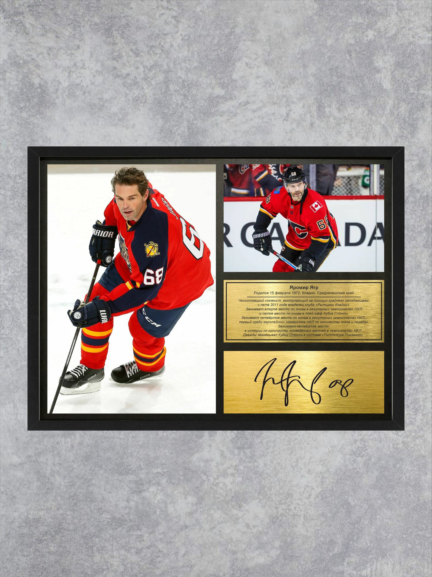 Яромир Ягр интерьерная картина