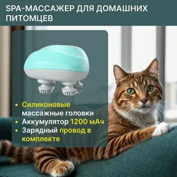 Портативная электрическая игрушка для массажа кошек(Массажер, которым вы также можете пользоваться самостоятельно) / Usb-зарядка / 1200 мАч, голубая