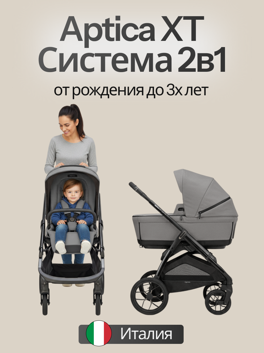 Коляска 2 в 1 Inglesina Aptica XT Canyon Grey