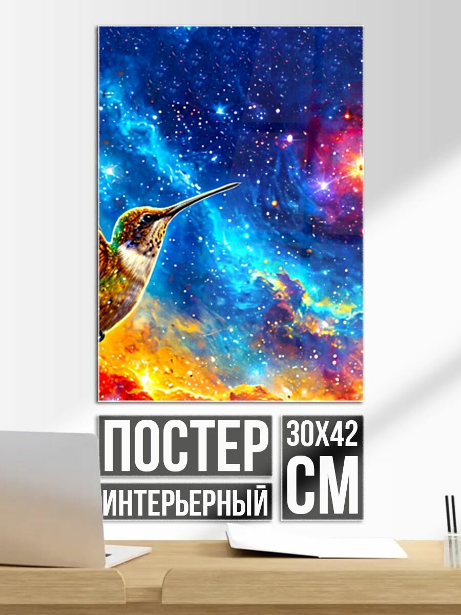 Постер на стену Колибри в космосе