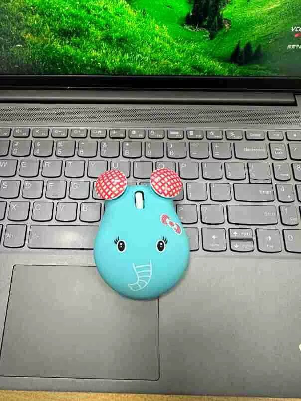 Милый и стильный мышь-черепаха, USB-подключение (проводное/беспроводное), бесшумный, креативный и персонализированный