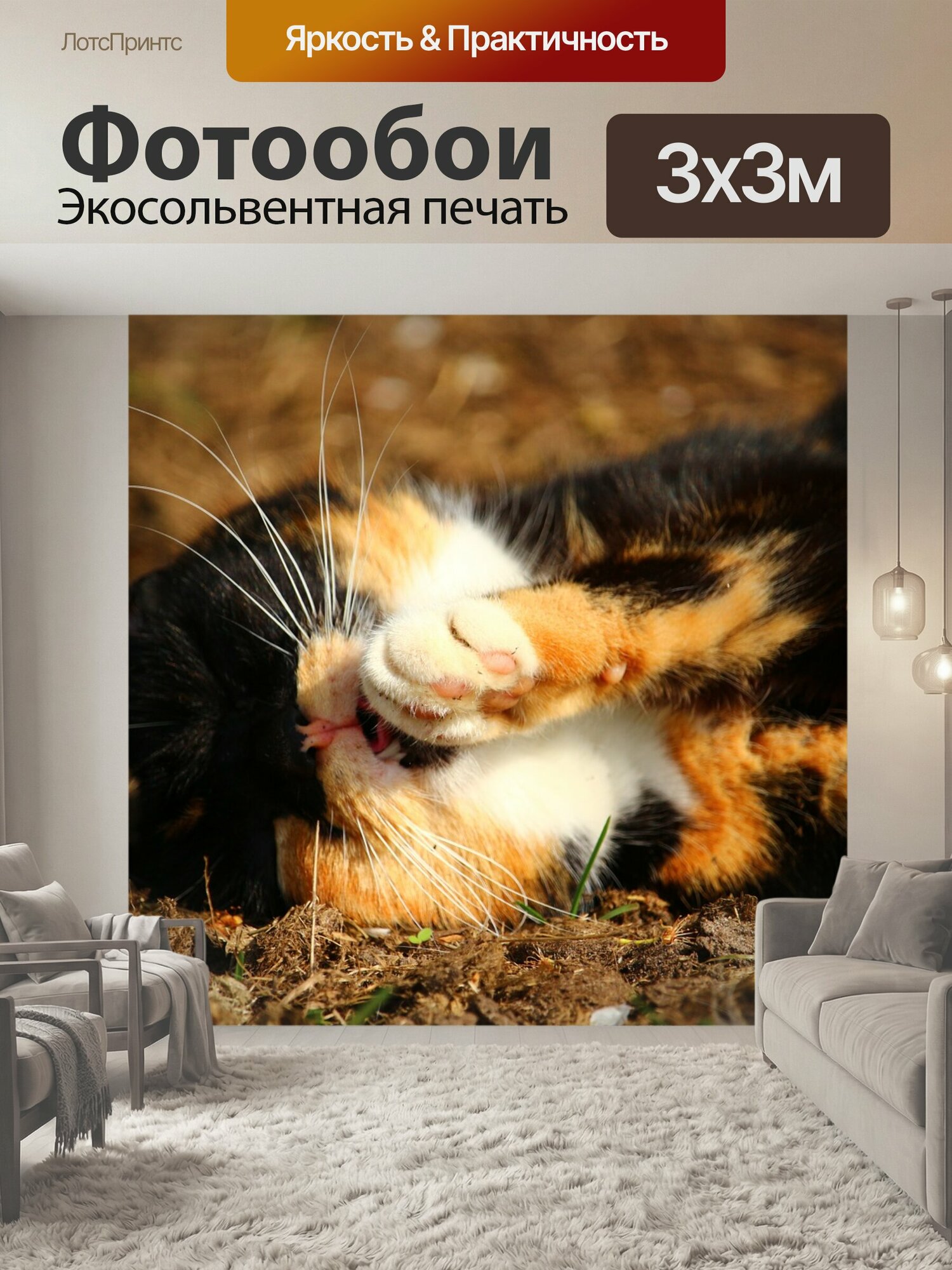 Фотообои "Кот, котенок, lucky cat" 300x300 см. экосольвентная печать