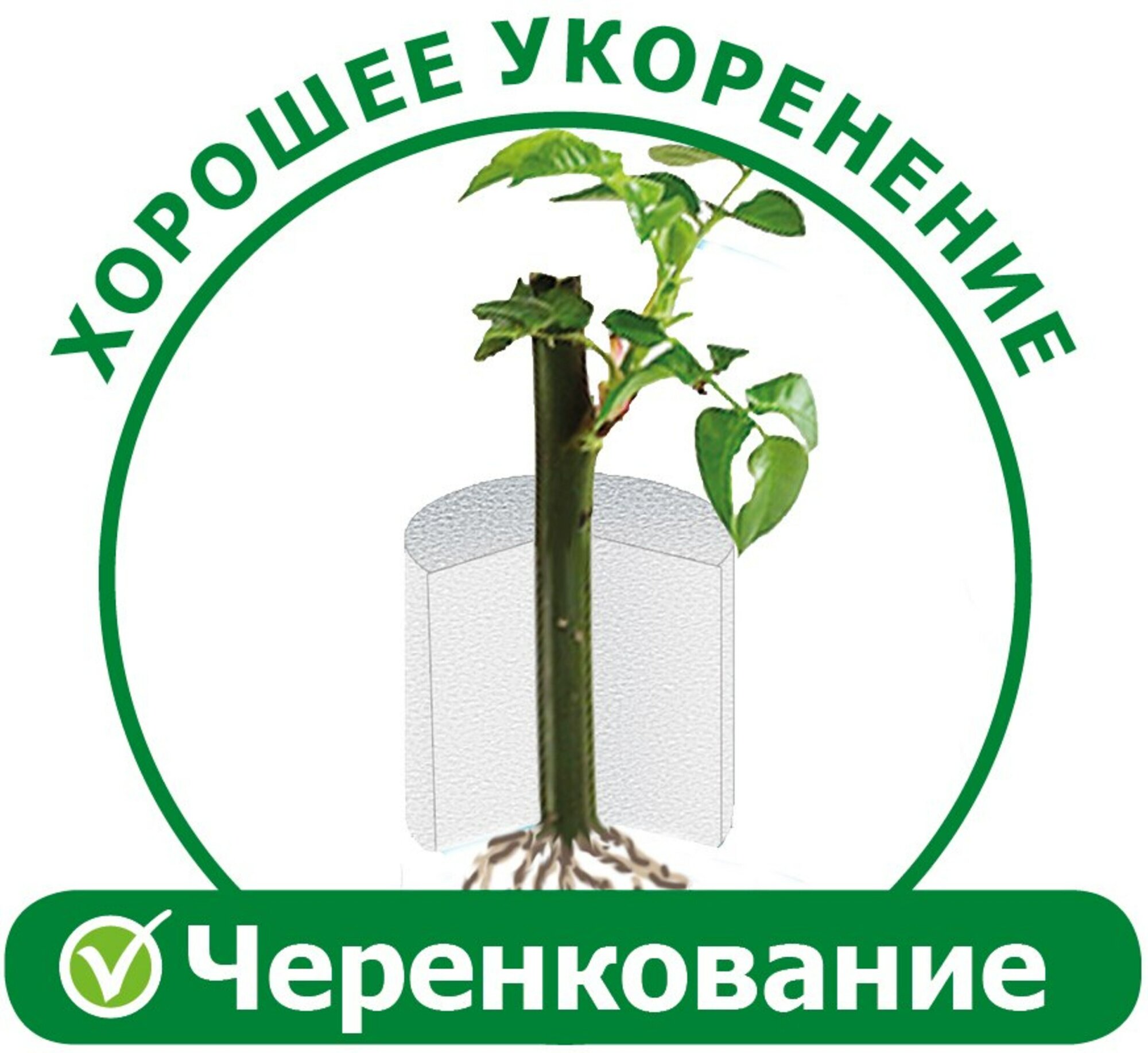 Проращиватель черенков и рассады мощный Здоровья КладТМ/Grafit выращиватель микрозелени