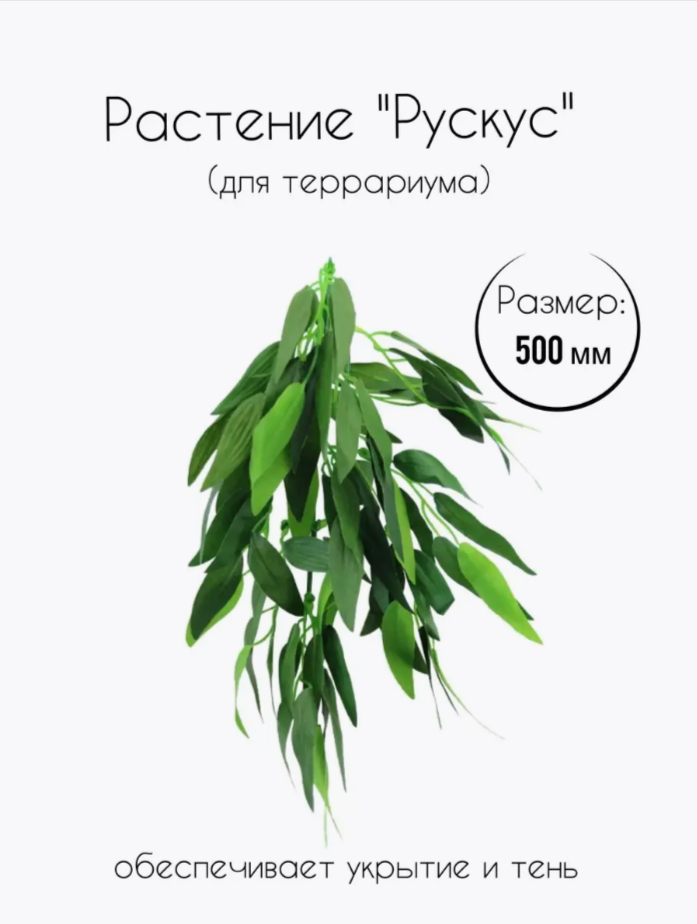 Искусственное растение для оформления террариума с присоской Рускус, длина - 50 см, Repti Zoo
