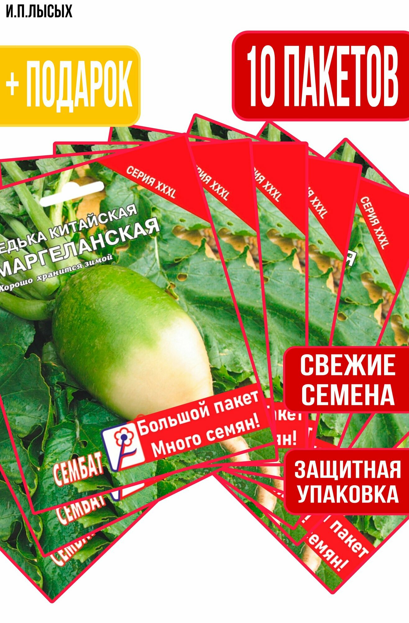 Семена Редька Маргеланская