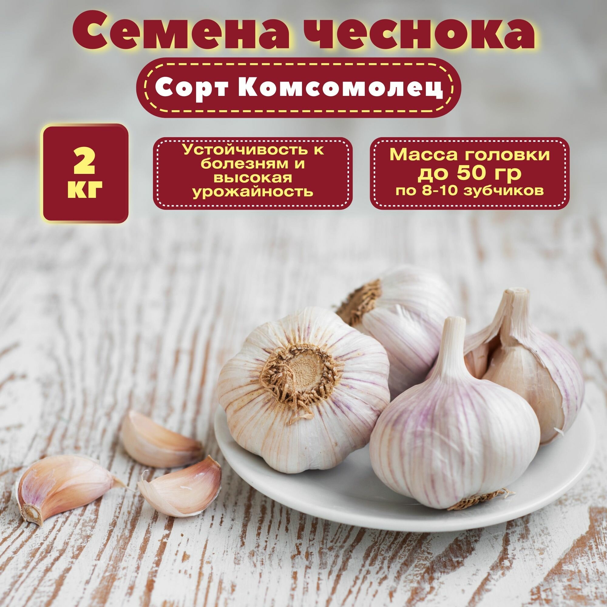 Чеснок озимый на посадку крупный 2 кг сорт "Комсомолец". Высокая урожайность, устойчивость к болезням, отличные вкусовые качества и простота в выращивании. Для ценителей натуральных продуктов.