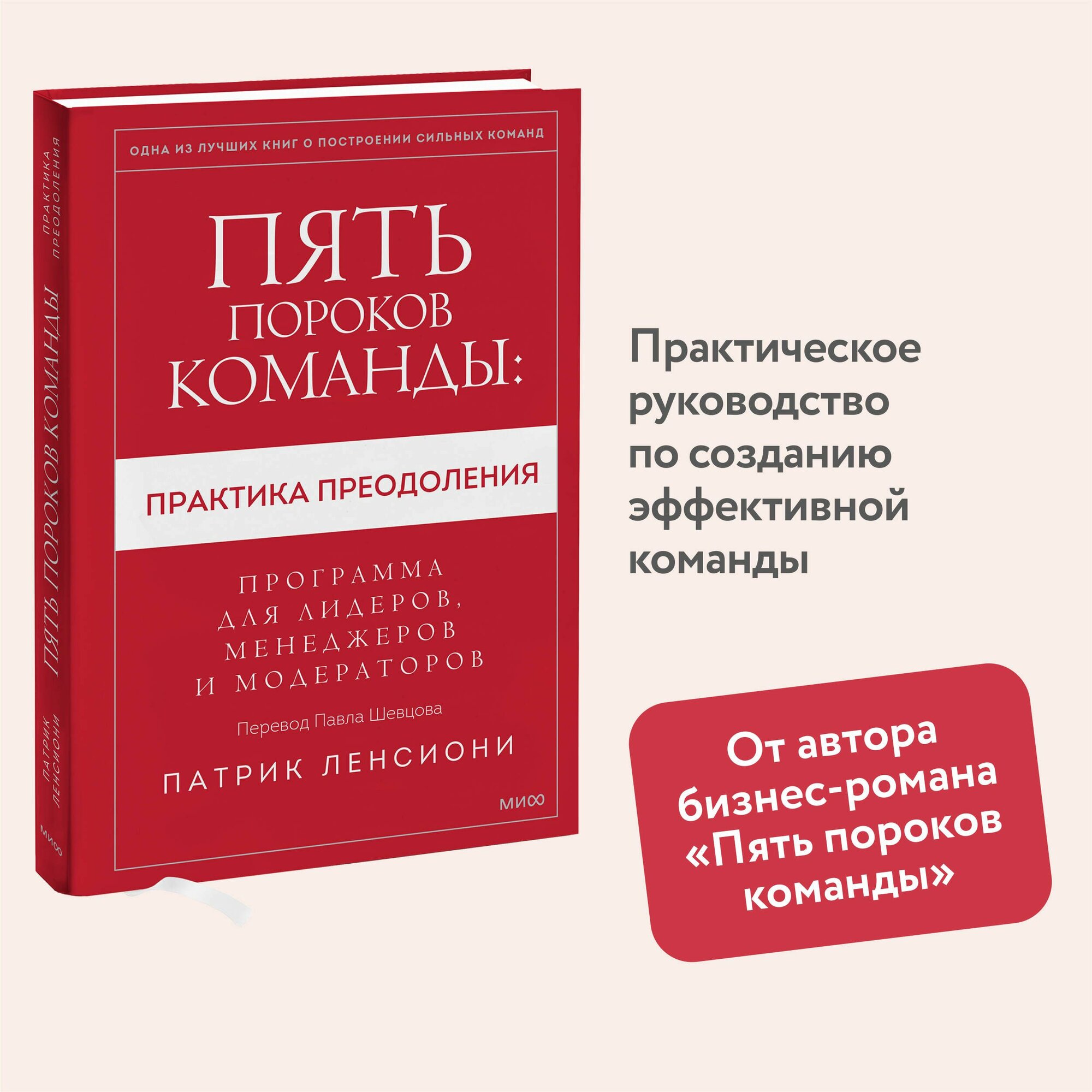Пять пороков команды: практика преодоления. Программа для лидеров, менеджеров и модераторов.