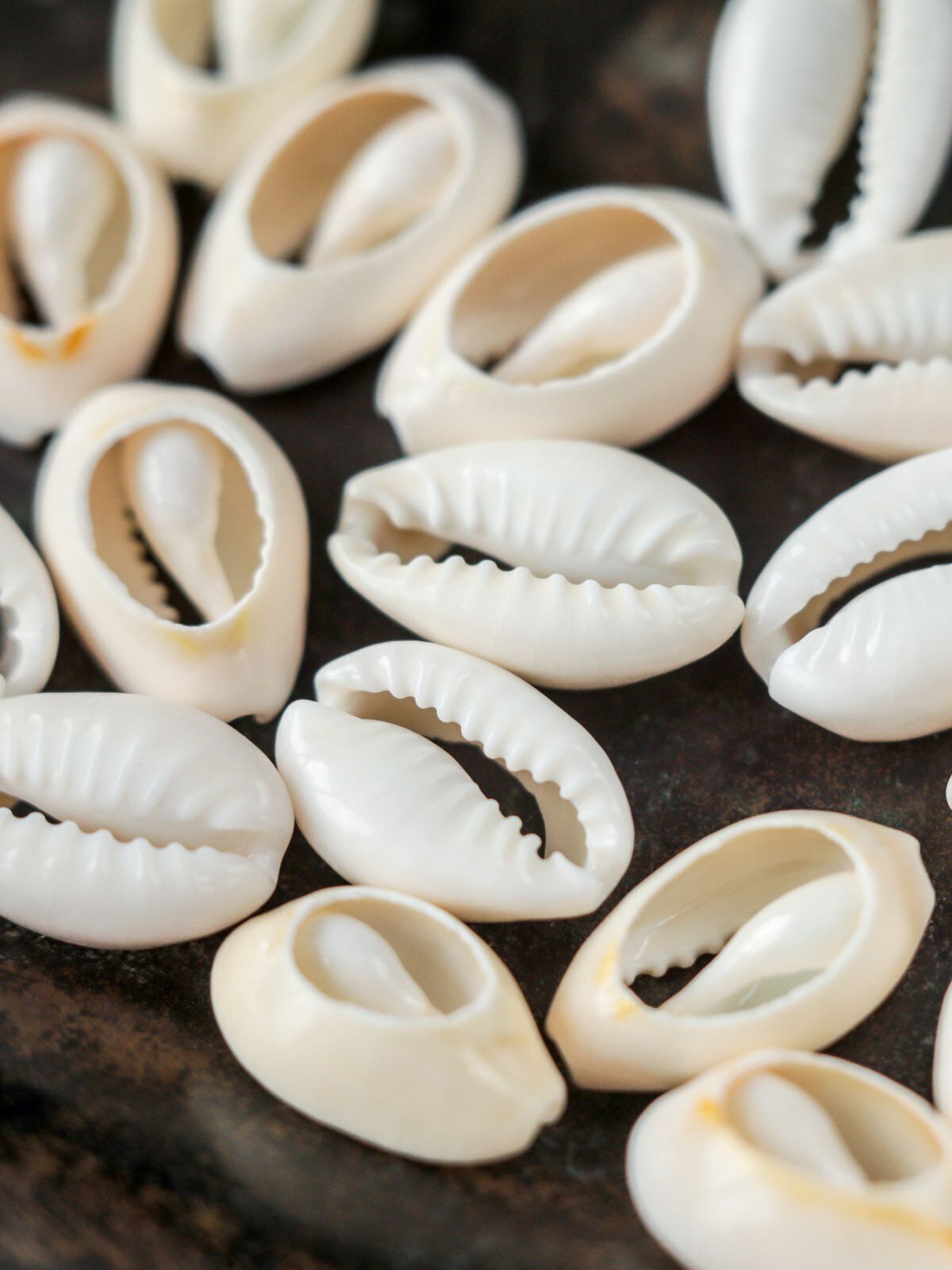 Бусины Морские ракушки Каури 20 г (ок. 30 шт), природные оттенки, 10-17x7-11x3-6 мм